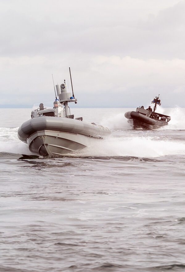 Powerful bloodline tender boat from Zodiac DNA